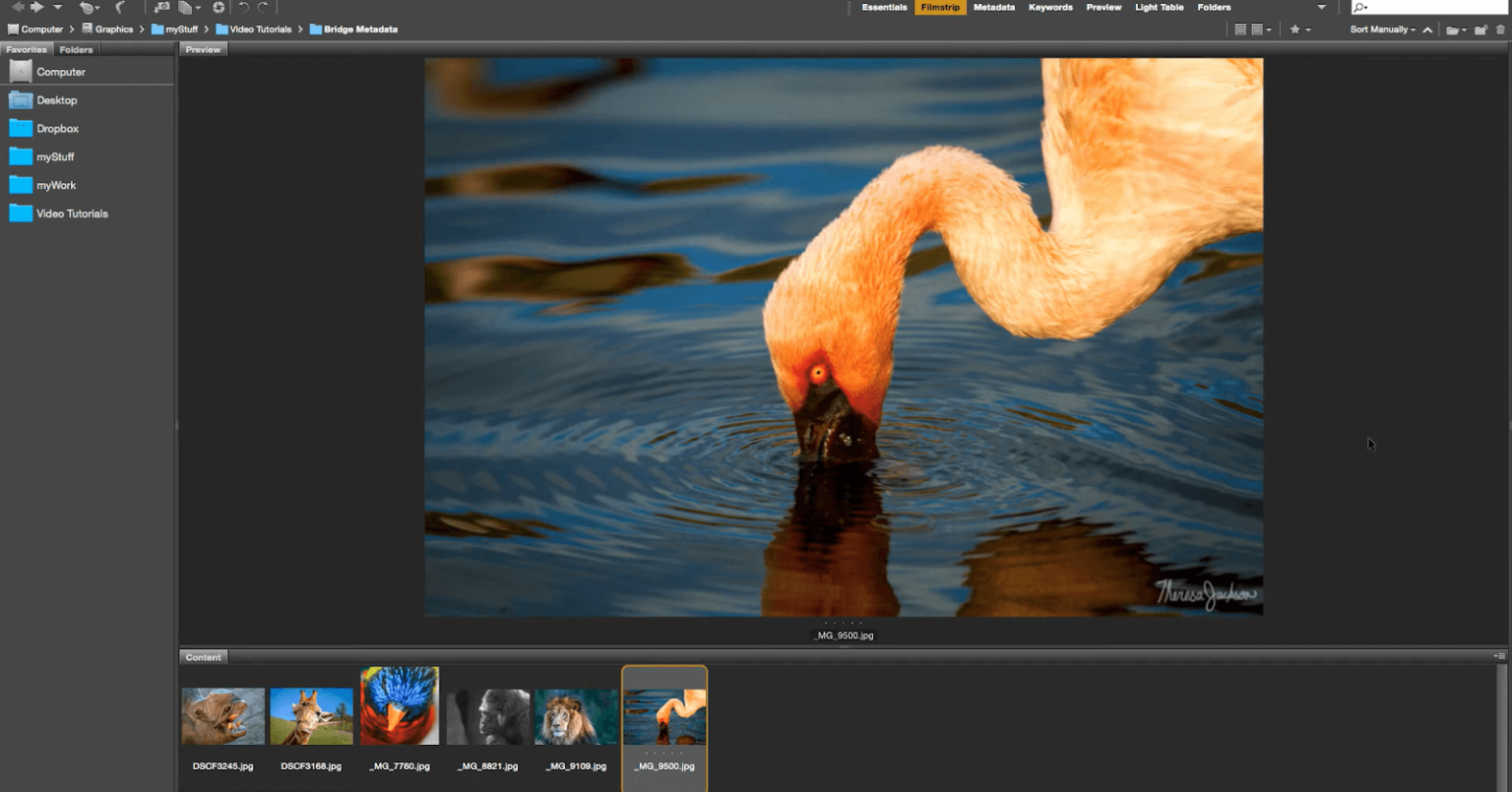 How to Find Latitude and Longitude from Images : 4 Proven Methods