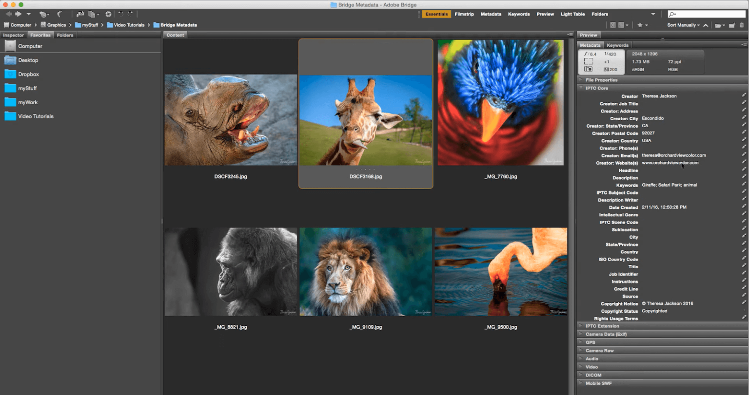 How to Find Latitude and Longitude from Images : 4 Proven Methods