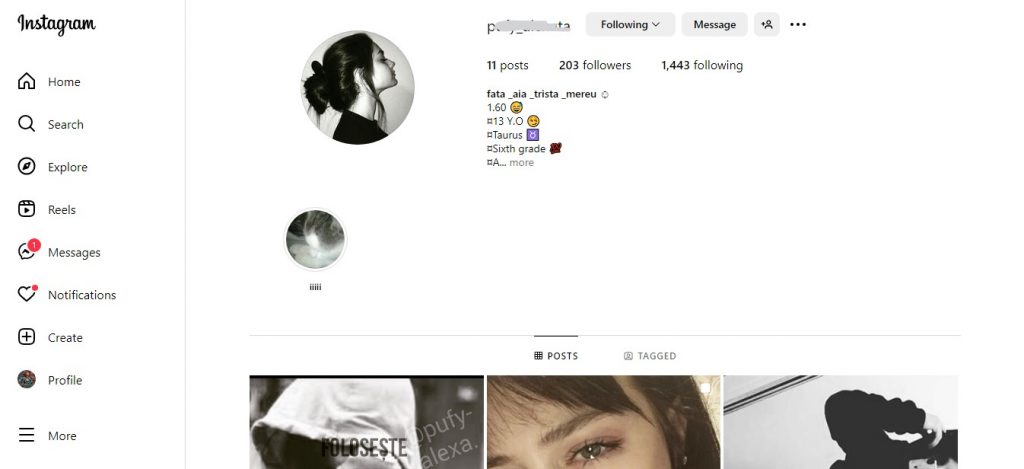 How to Find out Who Owns an Instagram Account [Proven Methods]