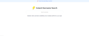10 Best Reverse Instagram Username Search Sites 2025 (Free & Paid)