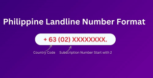 How to Check Landline Number in the Philippines