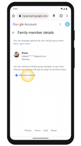 How to Use Google Family Link on iPhone [With Bonus Alternatives]